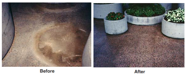Eliminating Mildew From Limestone And Cast Stone - Written in Stone